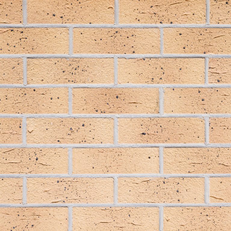 TBS Bricks - Steward Building Supplies